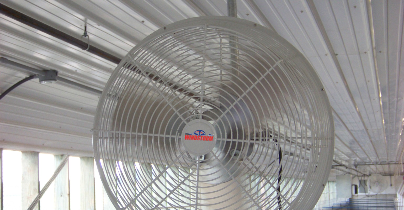 Stir fans … know what you’re buying. – Hogslat