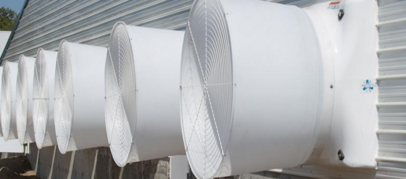 October 2019 – Hogslat